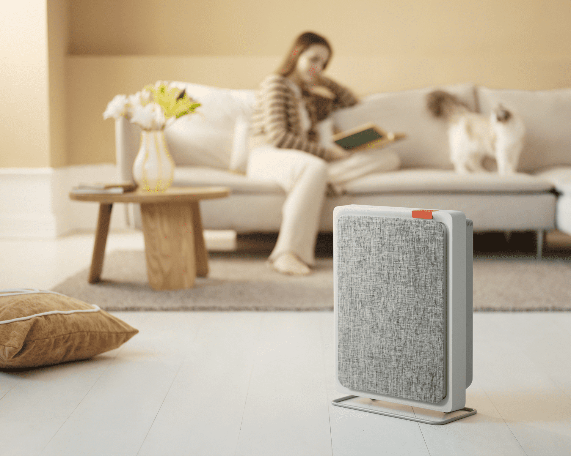 Smartmi Air Purifier E1 - smartmi EU