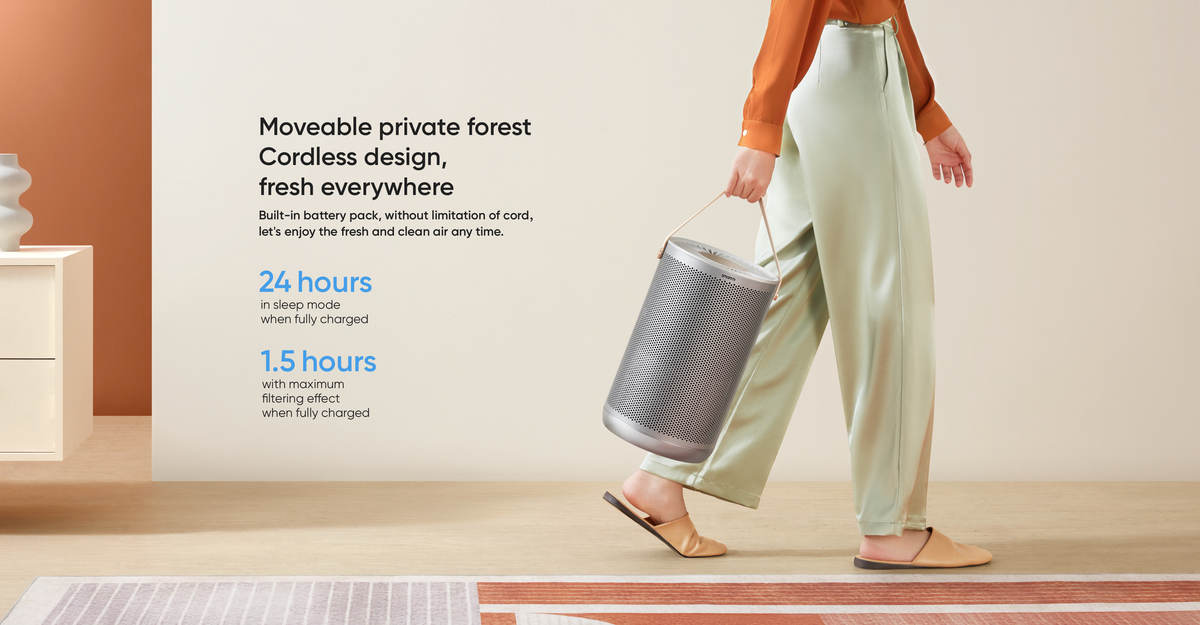 Smartmi Air Purifier P2 - smartmi EU