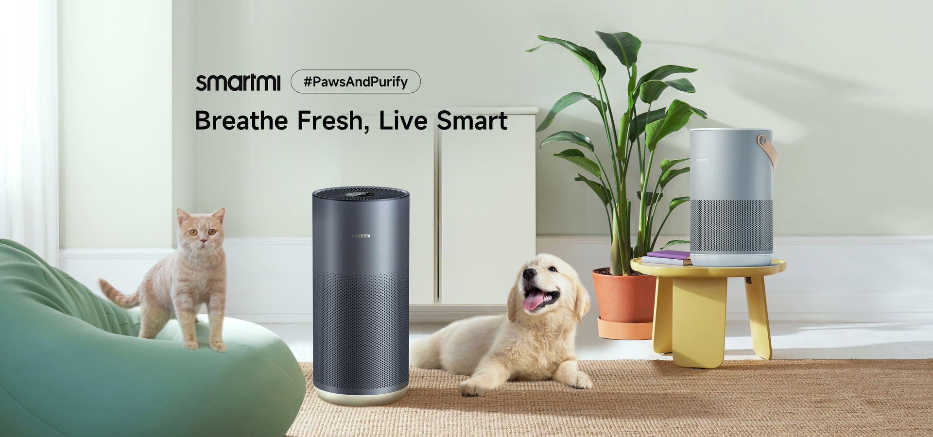 Smartmi Store | Design For Your Smart Life - smartmi EU