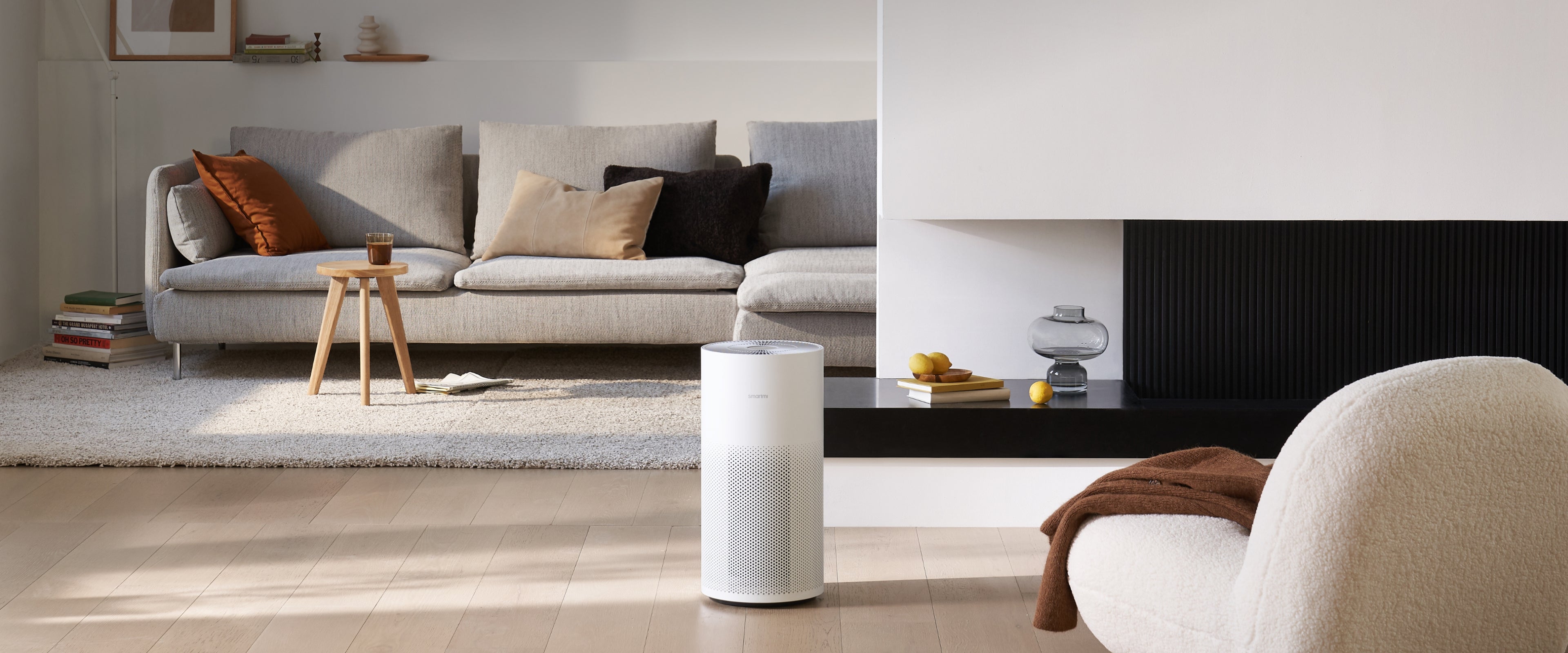 Smartmi Store | Smartmi Air Purifier - smartmi EU