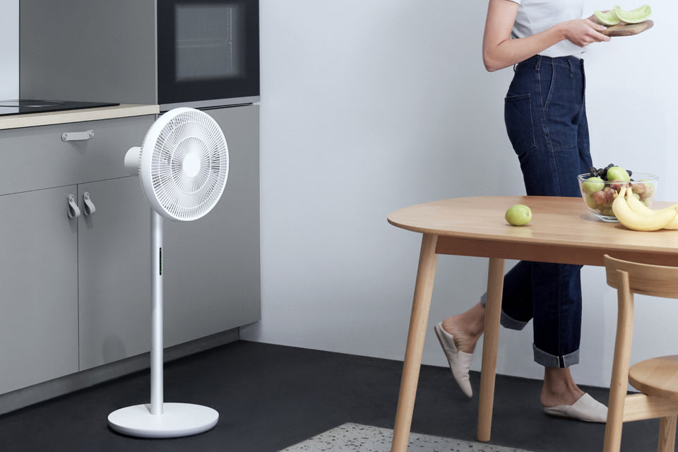 Smartmi Store | Standing Fan 3 - Smart Version - smartmi EU